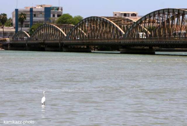 Parade mobile géante à Saint-Louis - Au Sénégal, le cœur du Sénégal