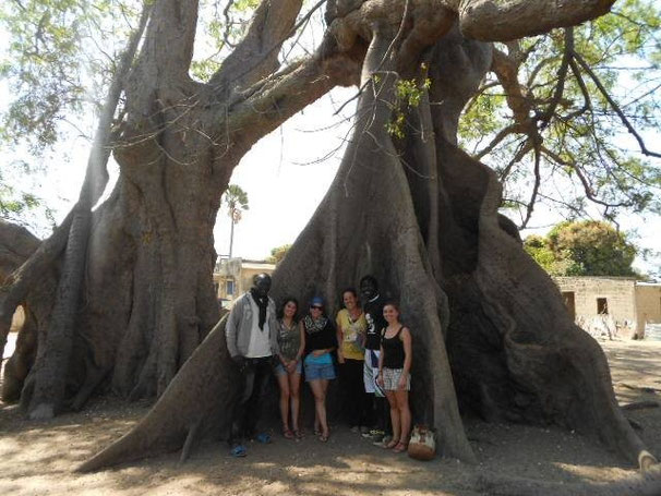 Guide du Saloum / Les Aventuriers du Saloum - Au Sénégal, le cœur du ...