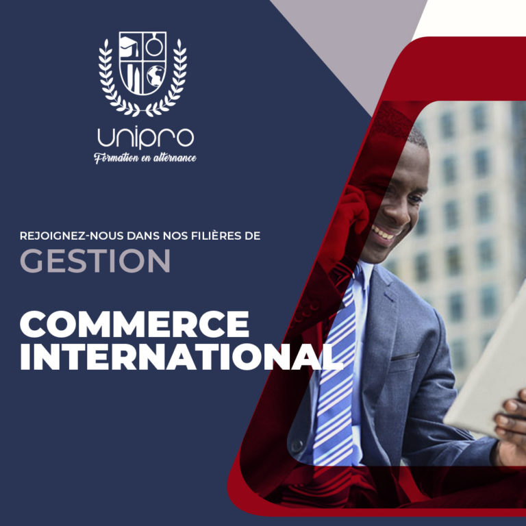 INSTITUT UNIPRO SENEGAL - Au Sénégal, le cœur du Sénégal