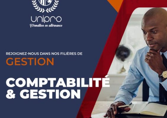INSTITUT UNIPRO SENEGAL - Au Sénégal, le cœur du Sénégal
