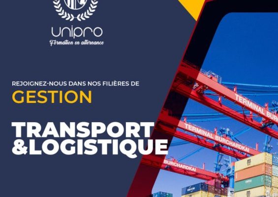 INSTITUT UNIPRO SENEGAL - Au Sénégal, le cœur du Sénégal