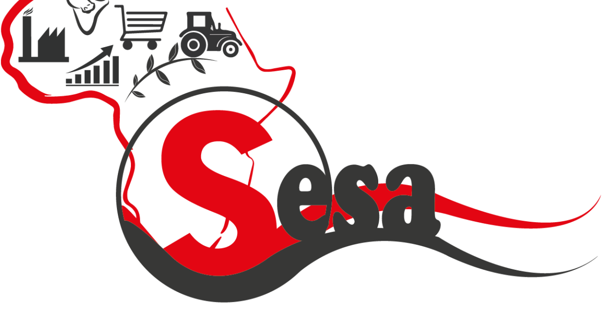 Salon de l’émergence sénégalo-africaine (SESA) - Au Sénégal, le cœur du Sénégal