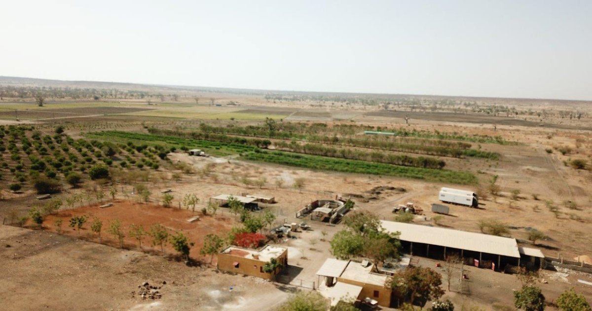 Une ferme en Afrique : investissez dans un projet agricole, d’élevage ...