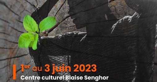 Festival Kaay Fecc #12 - Au Sénégal, le cœur du Sénégal