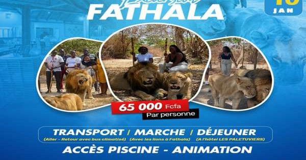 Excursion à la Réserve de Fathala - Au Sénégal, le cœur du Sénégal