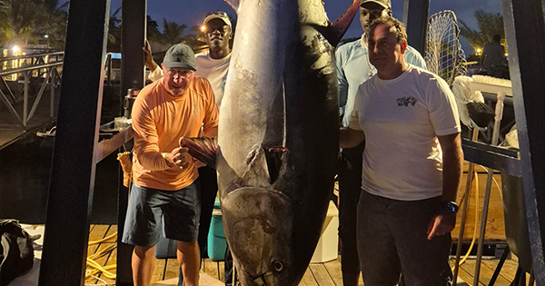 Un thon rouge géant de 264 kg pêché au large de Dakar - Au Sénégal, le ...