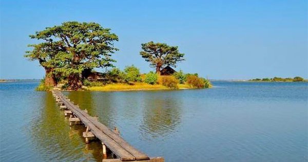 Palmarin, l’entrée privilégiée du Sine Saloum - Au Sénégal, le cœur du ...