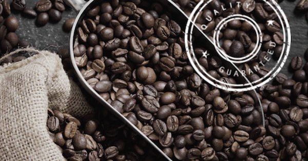 Le café Touba sous un nouveau jour - Au Sénégal, le cœur du Sénégal