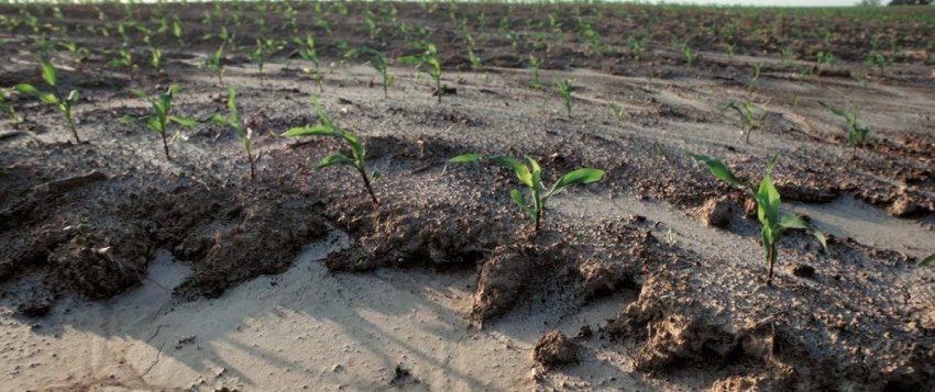 Le paradoxe sénégalais : un géant du phosphate aux terres agricoles ...