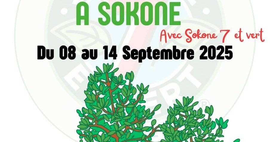 Festival de la mangrove à Sokone - Au Sénégal, le cœur du Sénégal